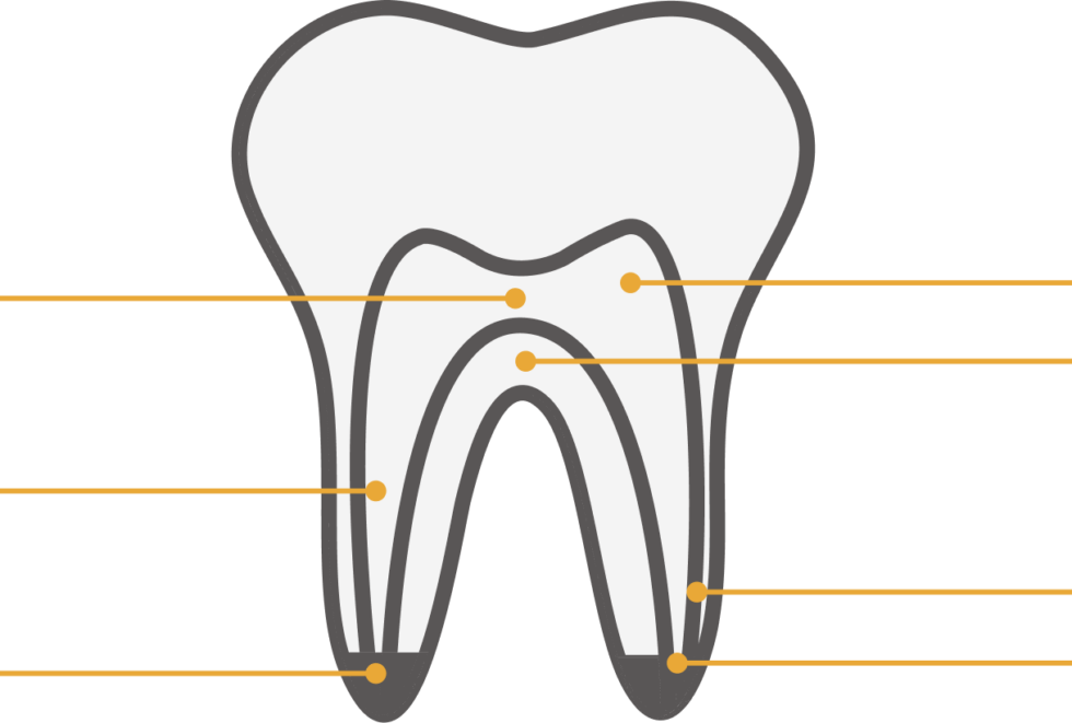 The Future of Root Repair | EdgeUtopia RRM™ by EdgeEndo